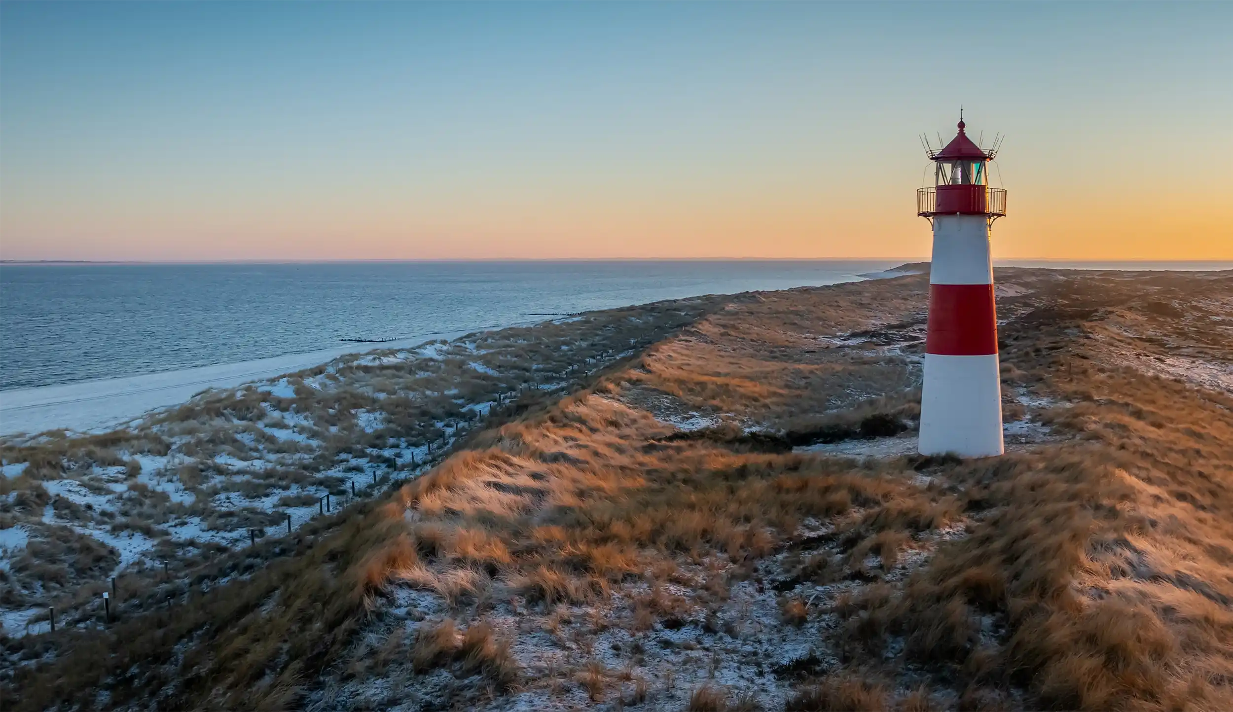 Thoughts from Ron, Spring 2025 Newsletter - Compassionate Care ALS